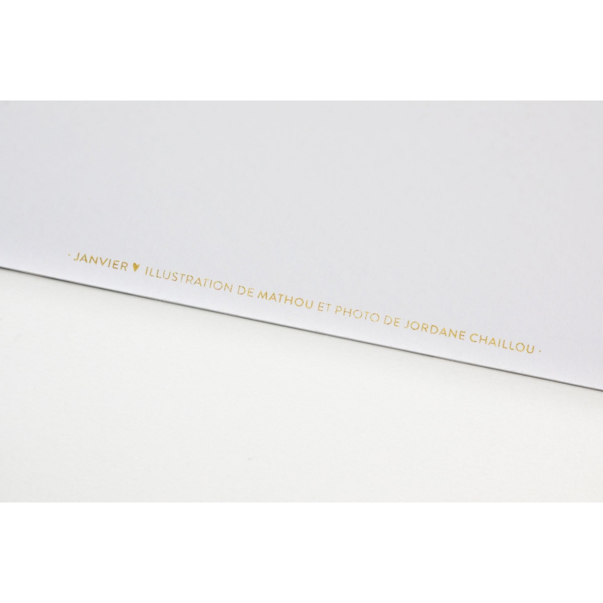 Mathou Illustrations - COLLECTION 12 CARTES "SAISONS"